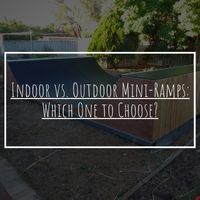 Buying Guides Indoor vs. Outdoor Mini-Ramps: Which One to Choose?